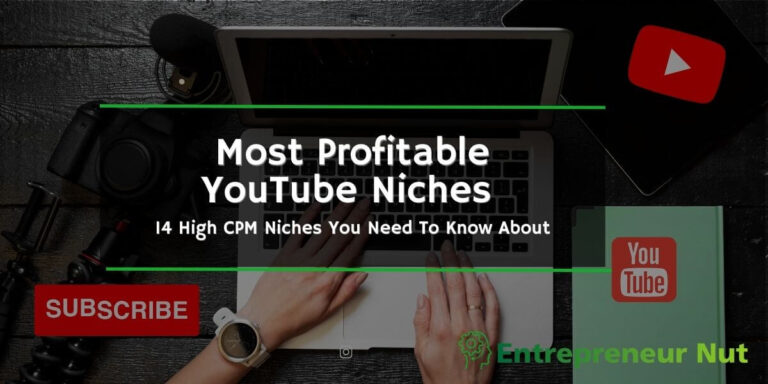 14 Most Profitable YouTube Niches (by CPM With Examples)